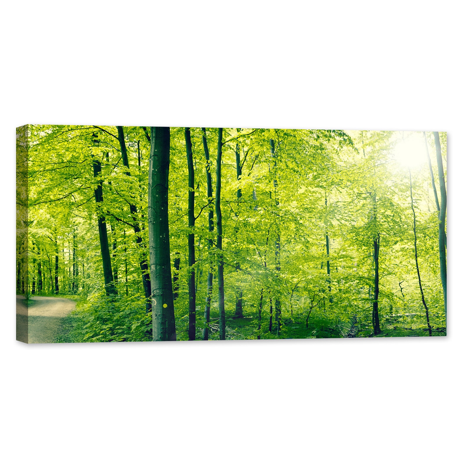 Tablou canvas luminescent, luminos in intuneric, GlowforHome, Dualv ...