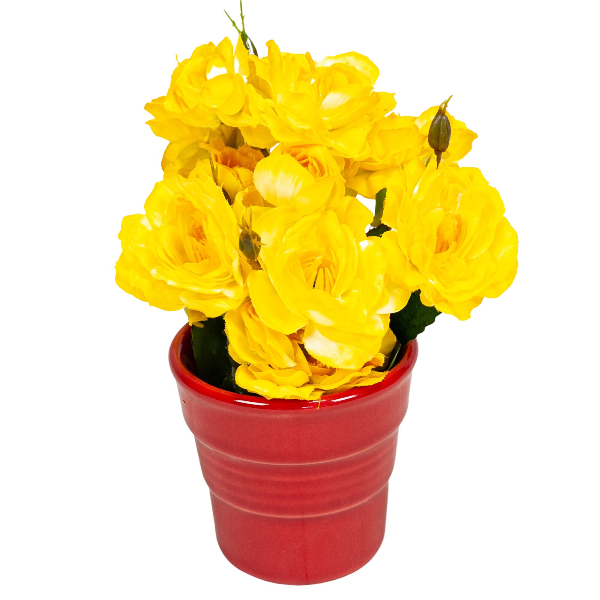 Set 6 Pahare Intensives Rot, ceramica, rosu, 90 ml - eMAG.ro