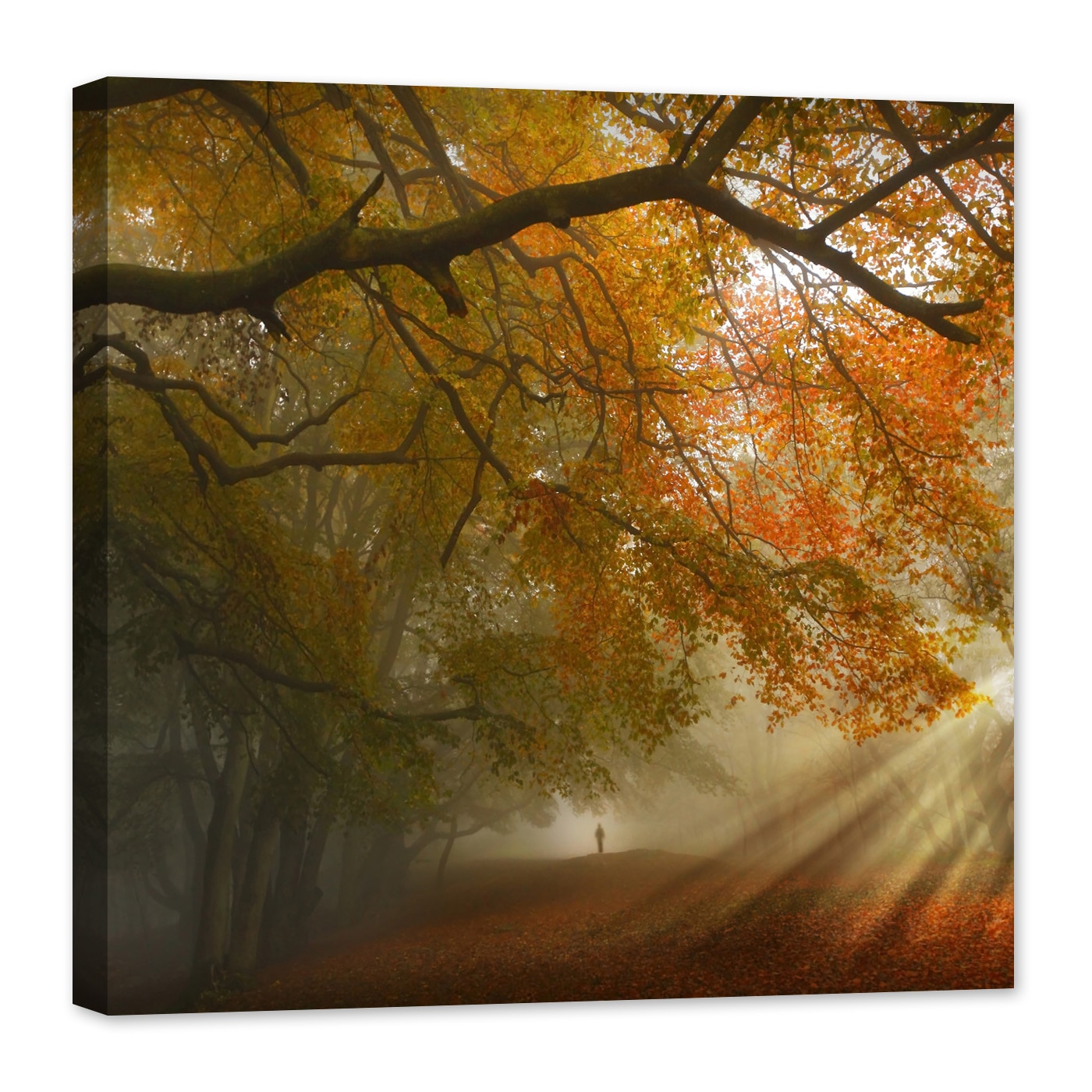 Tablou luminos in intuneric, GlowforHome, Drum prin padure in ceata cu ...
