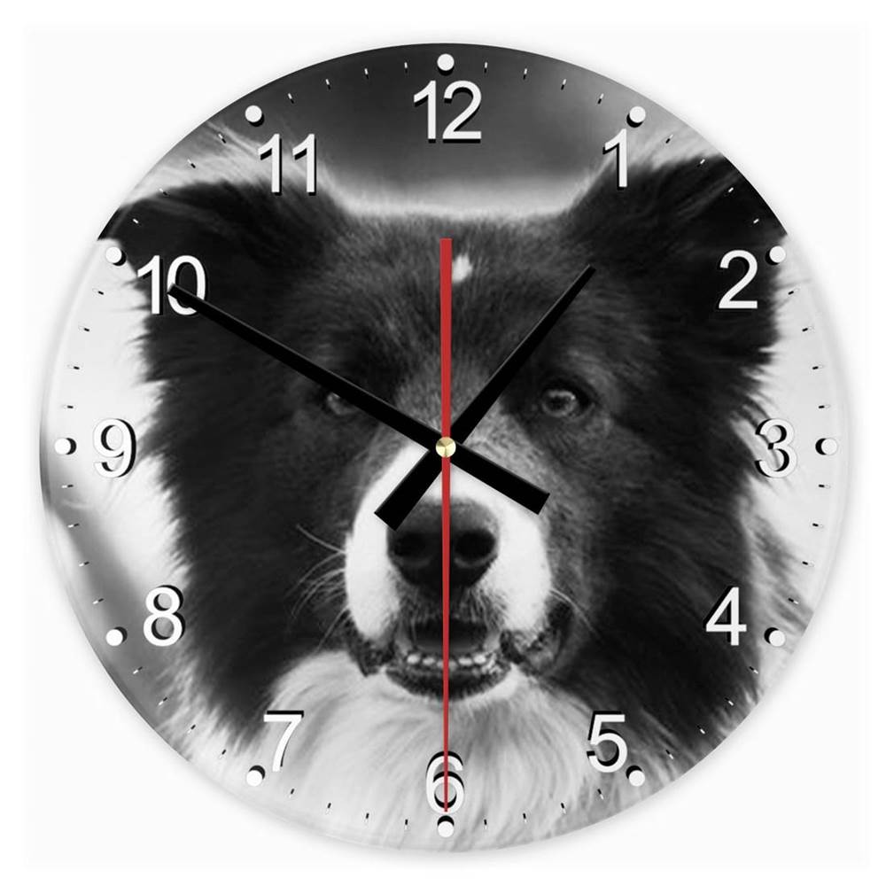 Ceas circular din sticla Border collie 4, multicolor, 20 cm - eMAG.ro