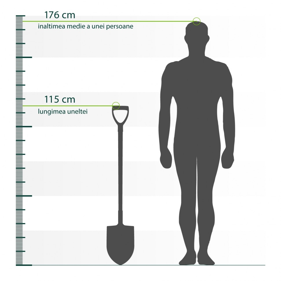 Cazma rotunda, 210x290x1150 mm, coada din lemn lacuita, PALISAD - eMAG.ro