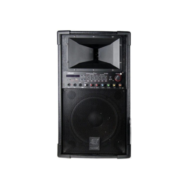 Set Boxe Twin Profesionale, Putere 2 x 130W, Microfon Wireless ...