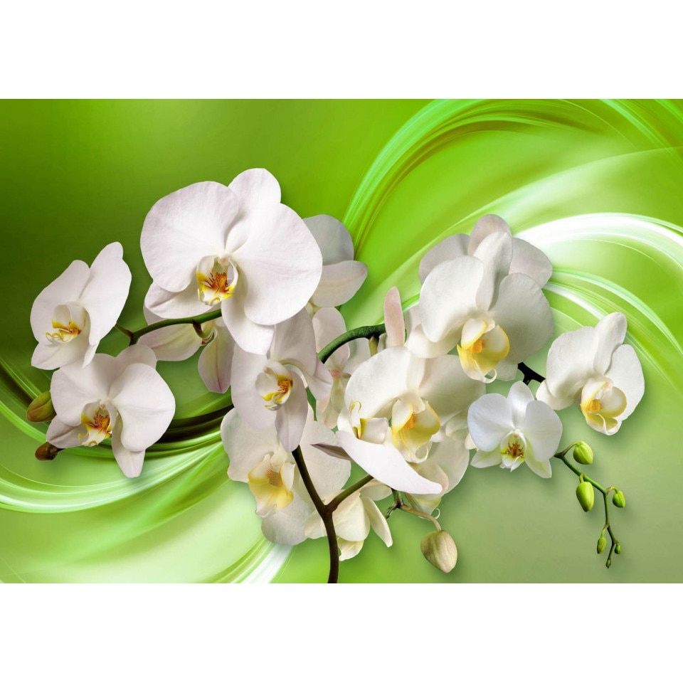 Fototapet, Abstractie cu flori de orhidee albe, 200 cm x 300 cm - eMAG.ro