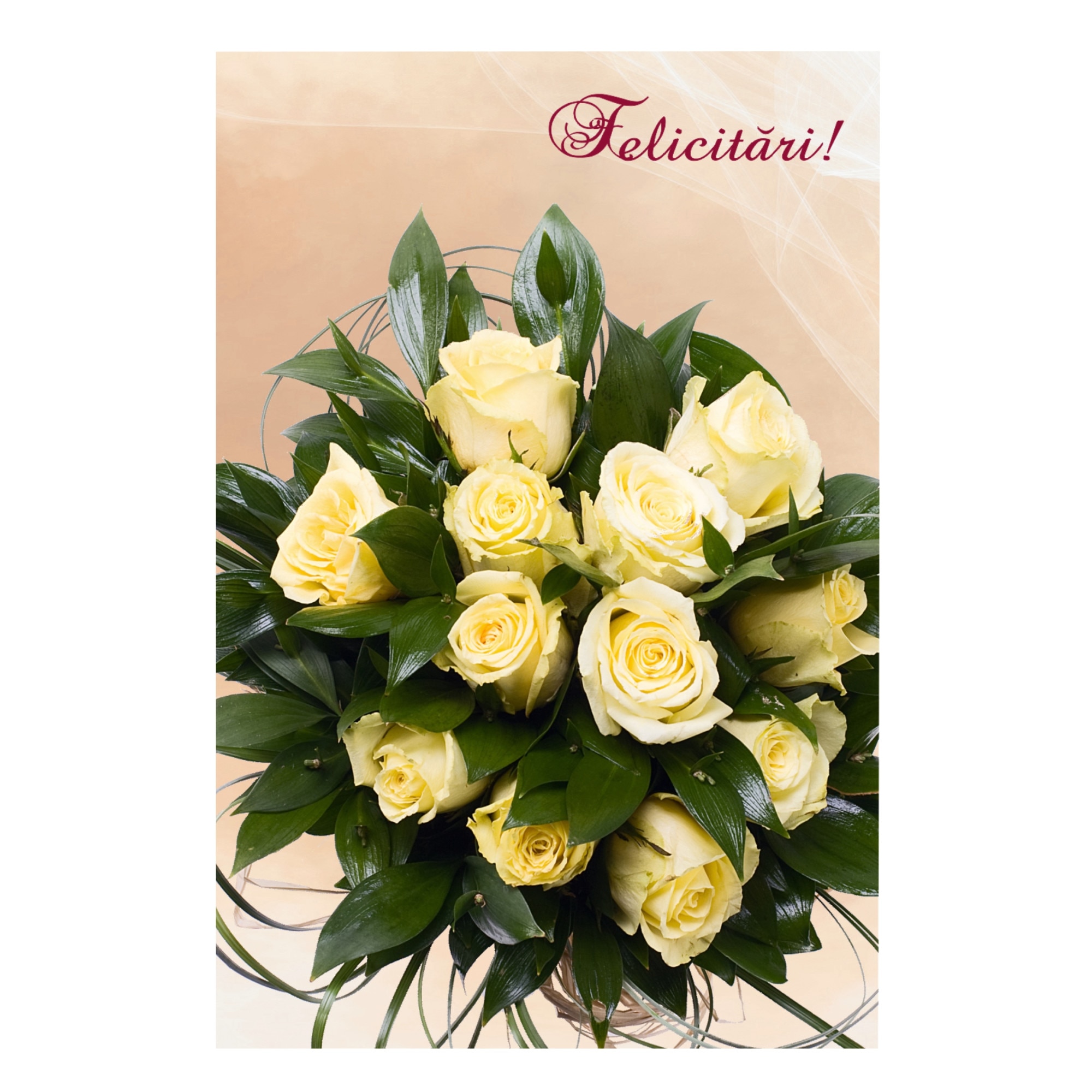 Felicitare cu plic, "Felicitari!", 120x180mm, carton 300 g - eMAG.ro