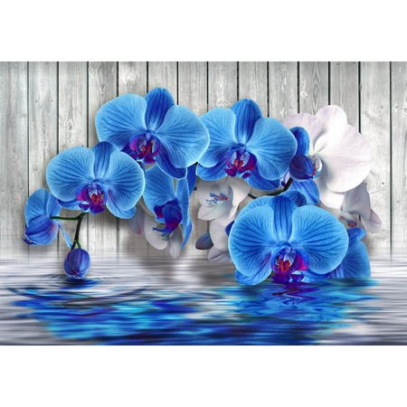 Fototapet, Orhidee albastra pe fundalul panoului din lemn, 150 cm x 100 ...