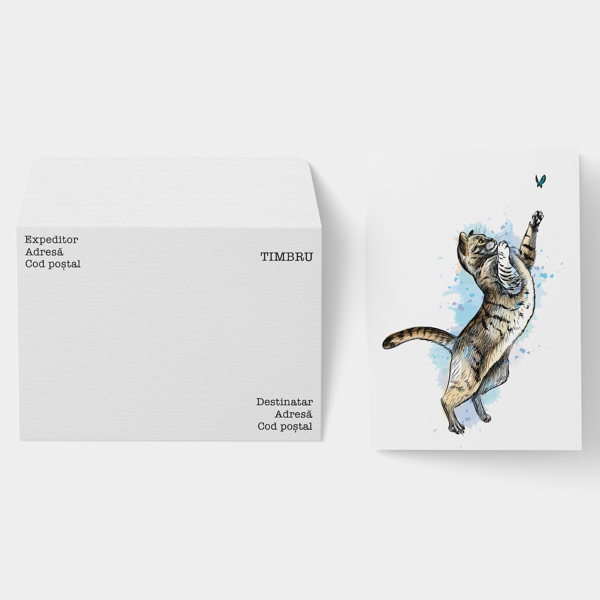 Felicitare cu plic, hartie texturata premium - motan cu fluture - eMAG.ro