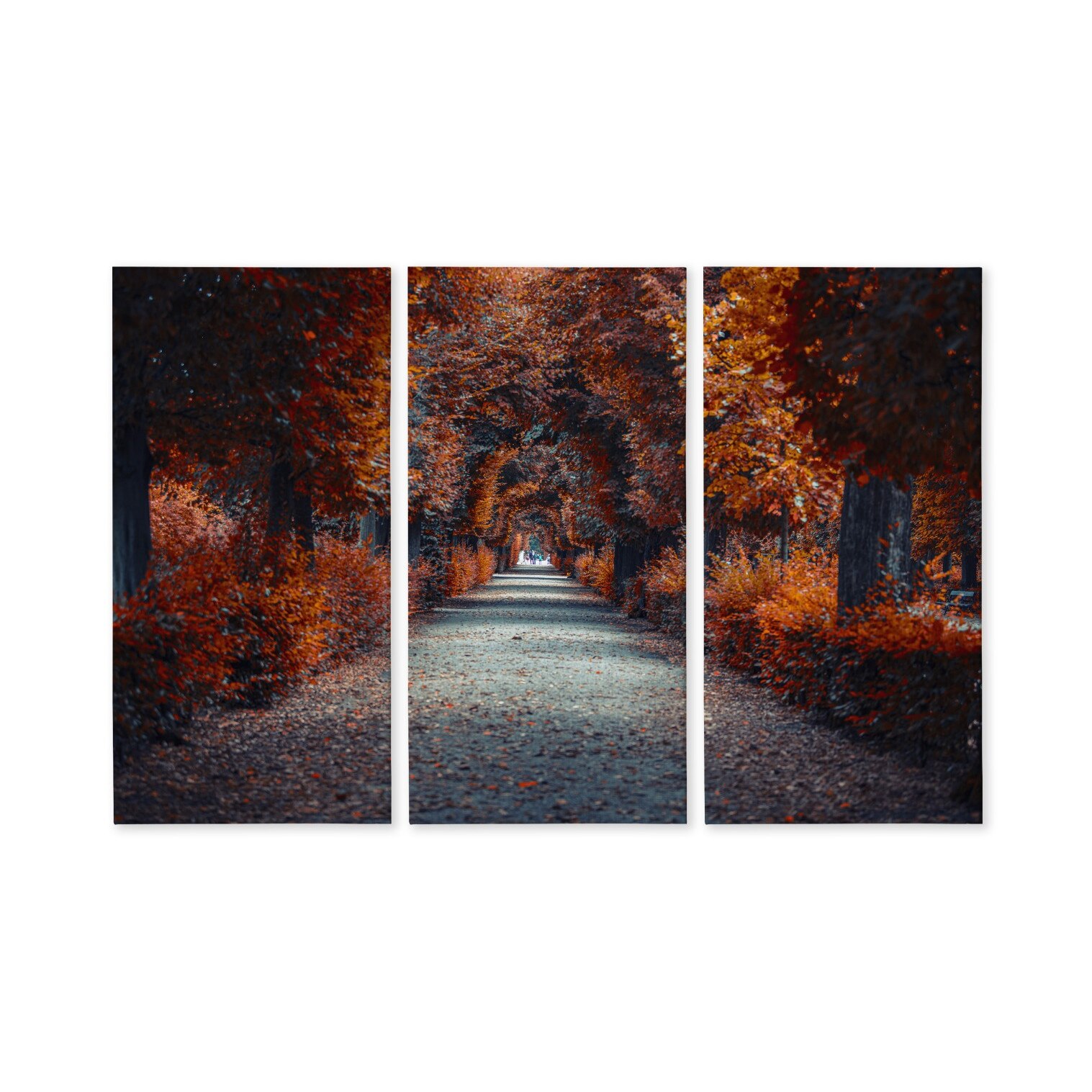 Set Tablou 3 Piese TRIPITC Poteca intr-o Padure de Toamna 3D 120cm x ...