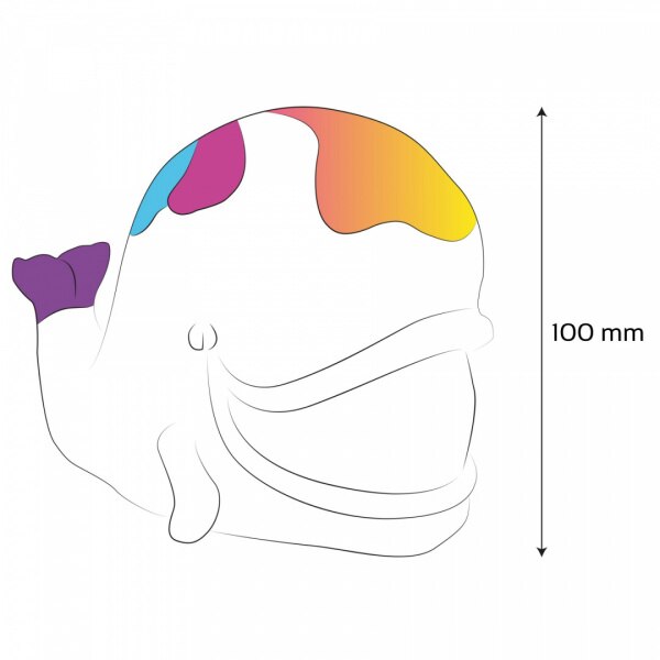 Figurina balena 3D pentru colorat, Ipsos, 14.7x7.8x10 cm - eMAG.ro