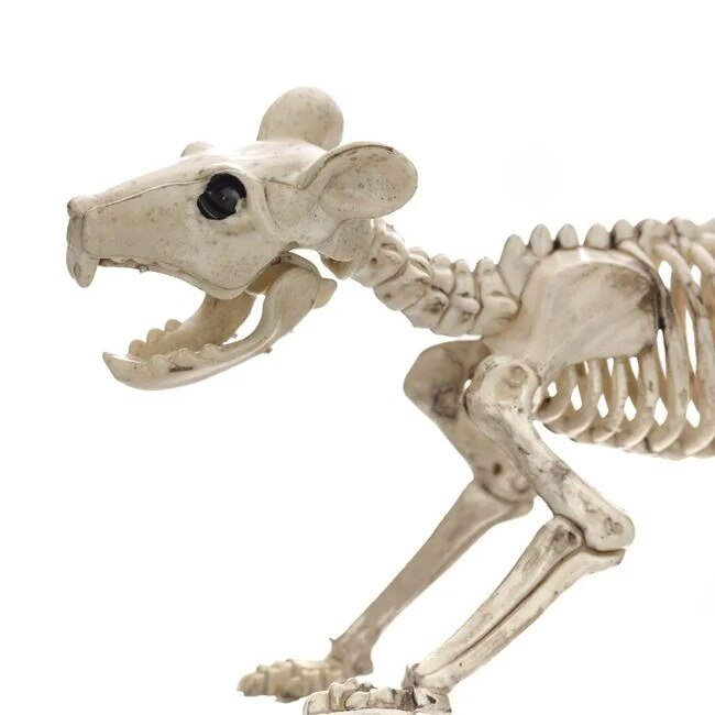 Schelet decorativ realist de soarece pentru Halloween, 20 cm - eMAG.ro