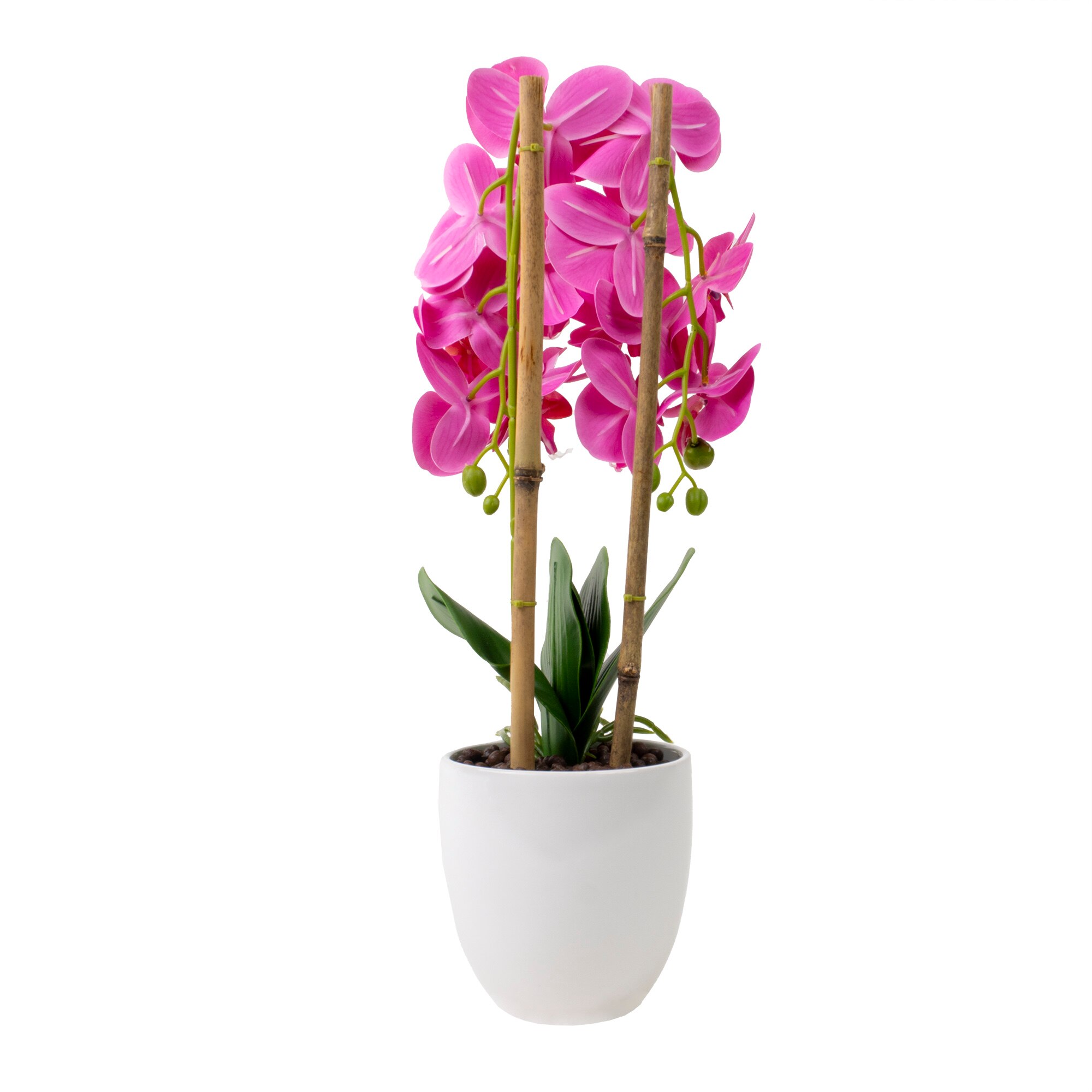 Orhidee 2 fire cu aspect natural in ghiveci ceramic alb, H 50 cm ...