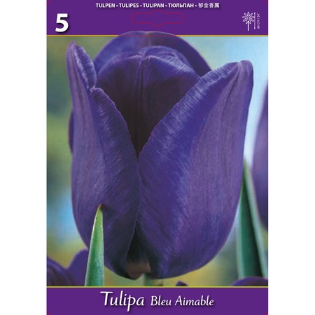 Lalea Tulipa Bleu Aimable 5 bucati - eMAG.ro