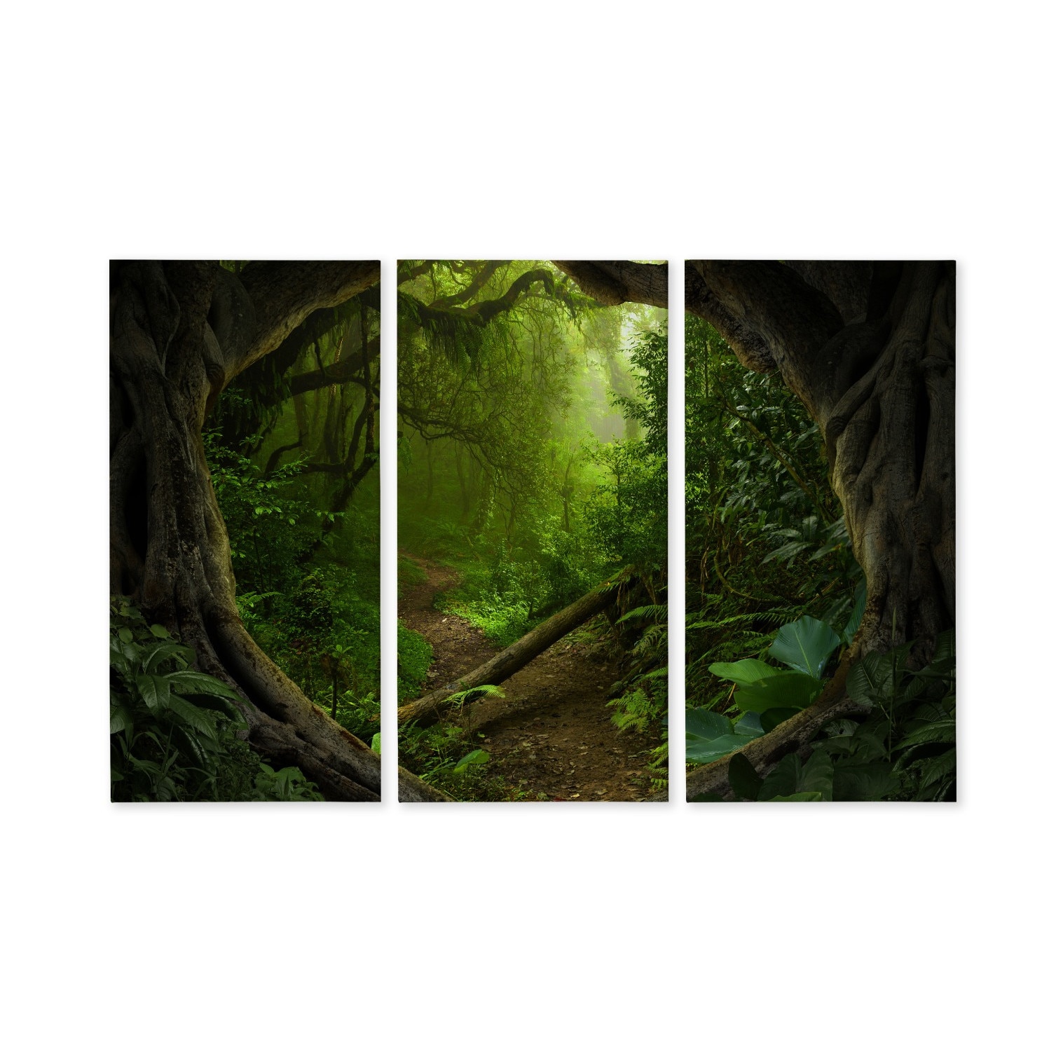 Set Tablou 3 piese RIPITC Poteca intr-o Padure Tropicala 60cm x 40cm ...