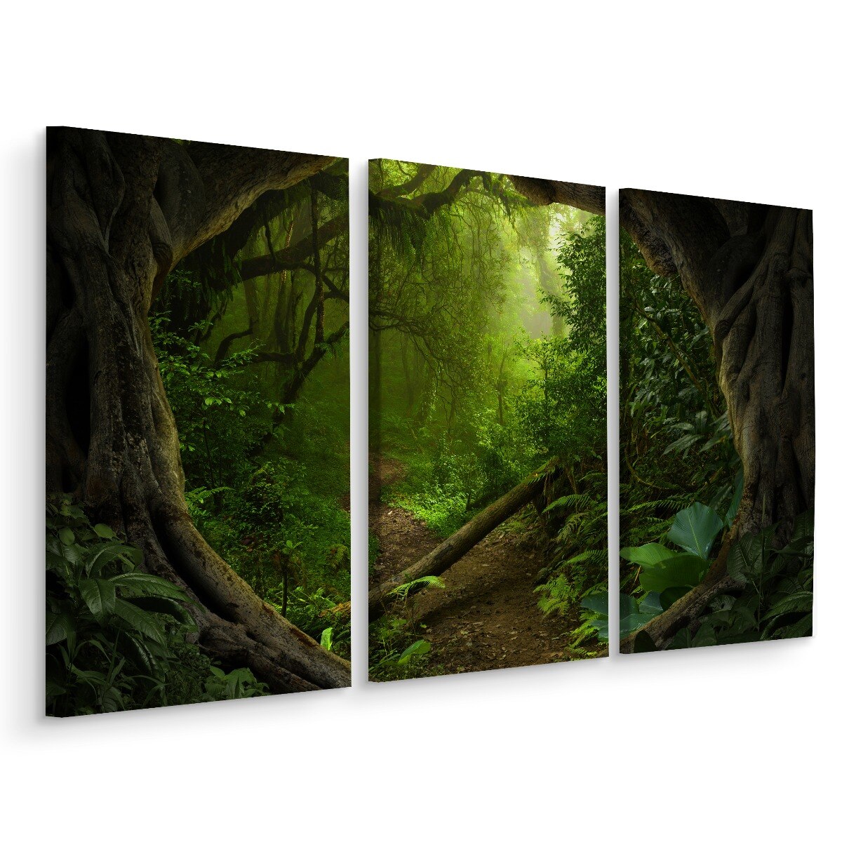 Set Tablou 3 piese RIPITC Poteca intr-o Padure Tropicala 60cm x 40cm ...