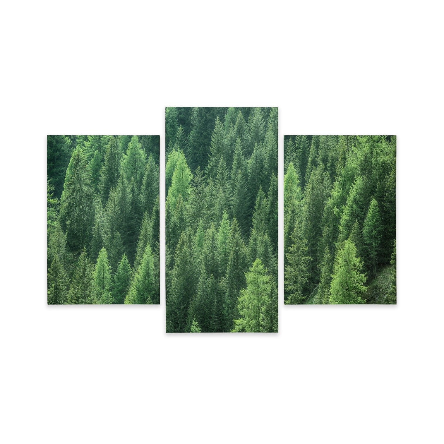 Set Tablou 3 Piese Triptic PADURE Verde Copaci Peisaj 3D 120cm x 80cm ...