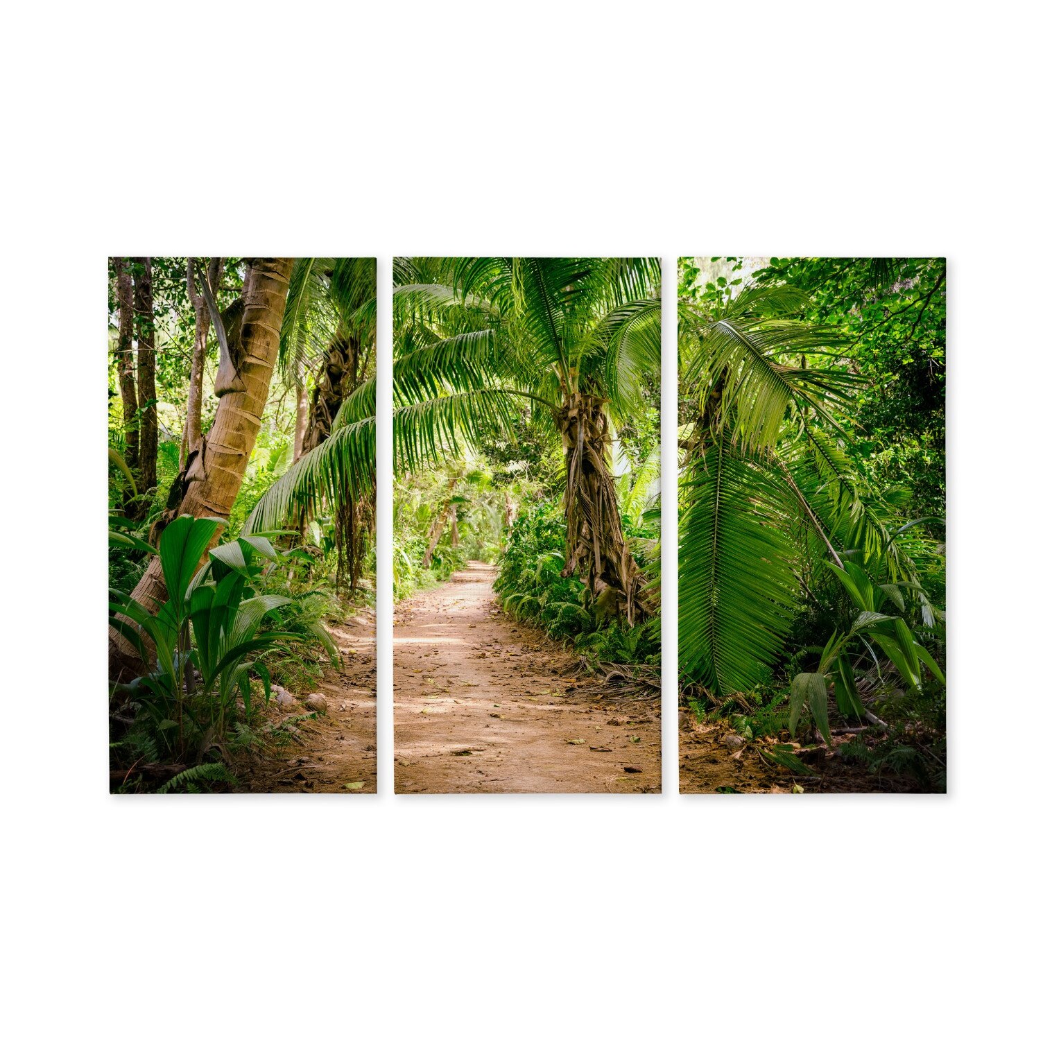 Set Tablou 3 Piese PADURE TROPICALA Verde 3D 180cm x 120cm Plantele ...