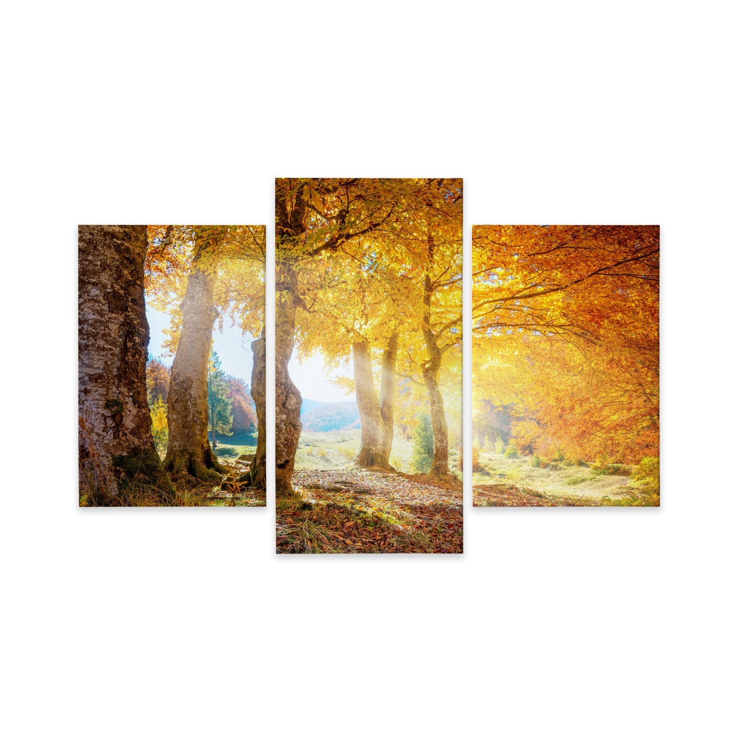 Set Tablou 3 Piese Triptic Copaci FRUNZE Natura 3D 150cm x 100cm Soare ...