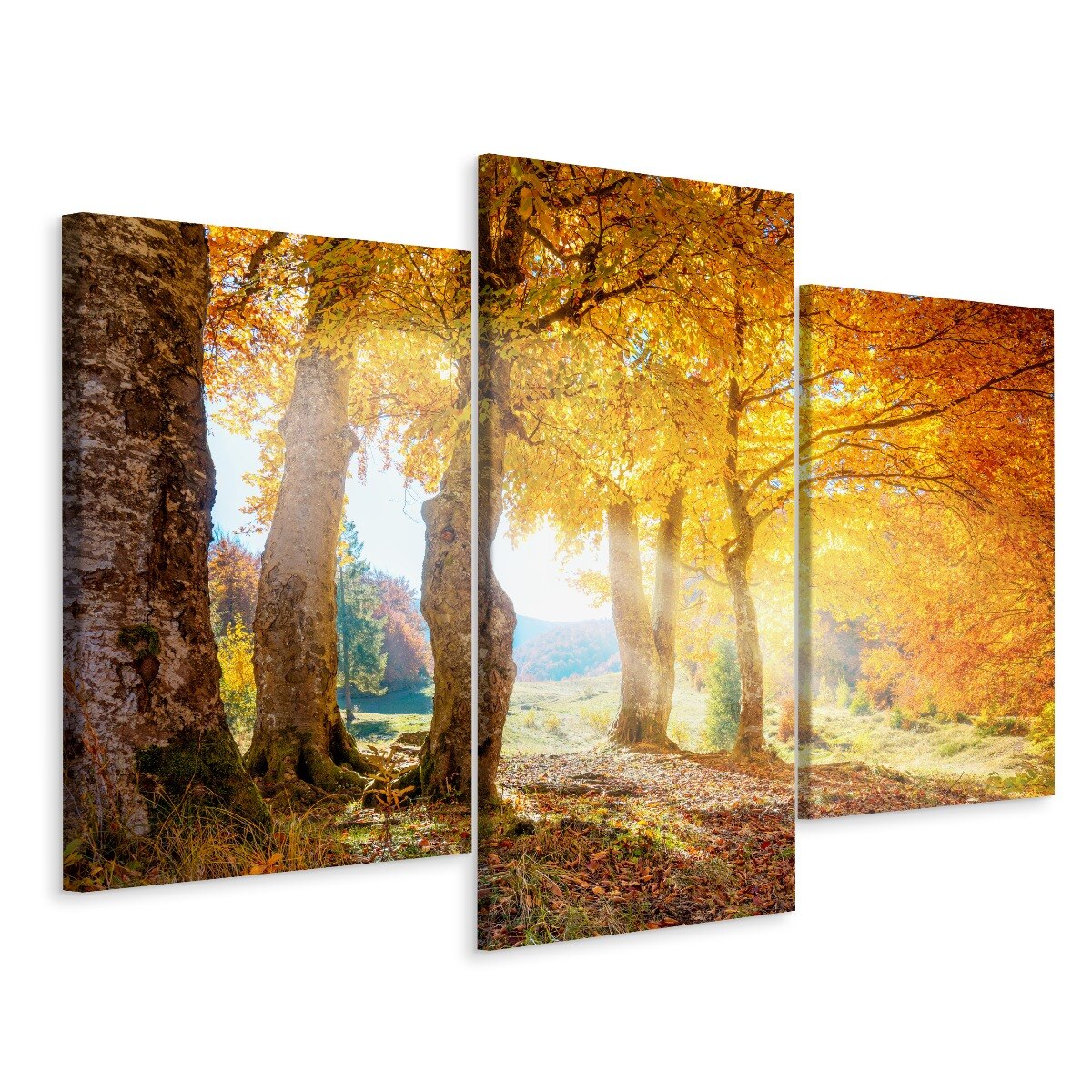 Set Tablou 3 Piese Triptic Copaci FRUNZE Natura 3D 150cm x 100cm Soare ...