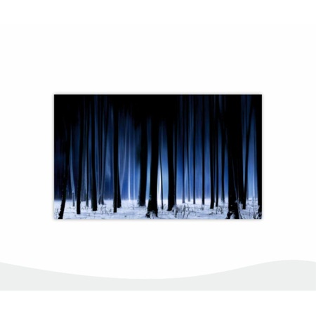 Tablou Canvas din PVC 5mm, 1 Piesa, Padurea albastra de iarna 55, Tipar ...