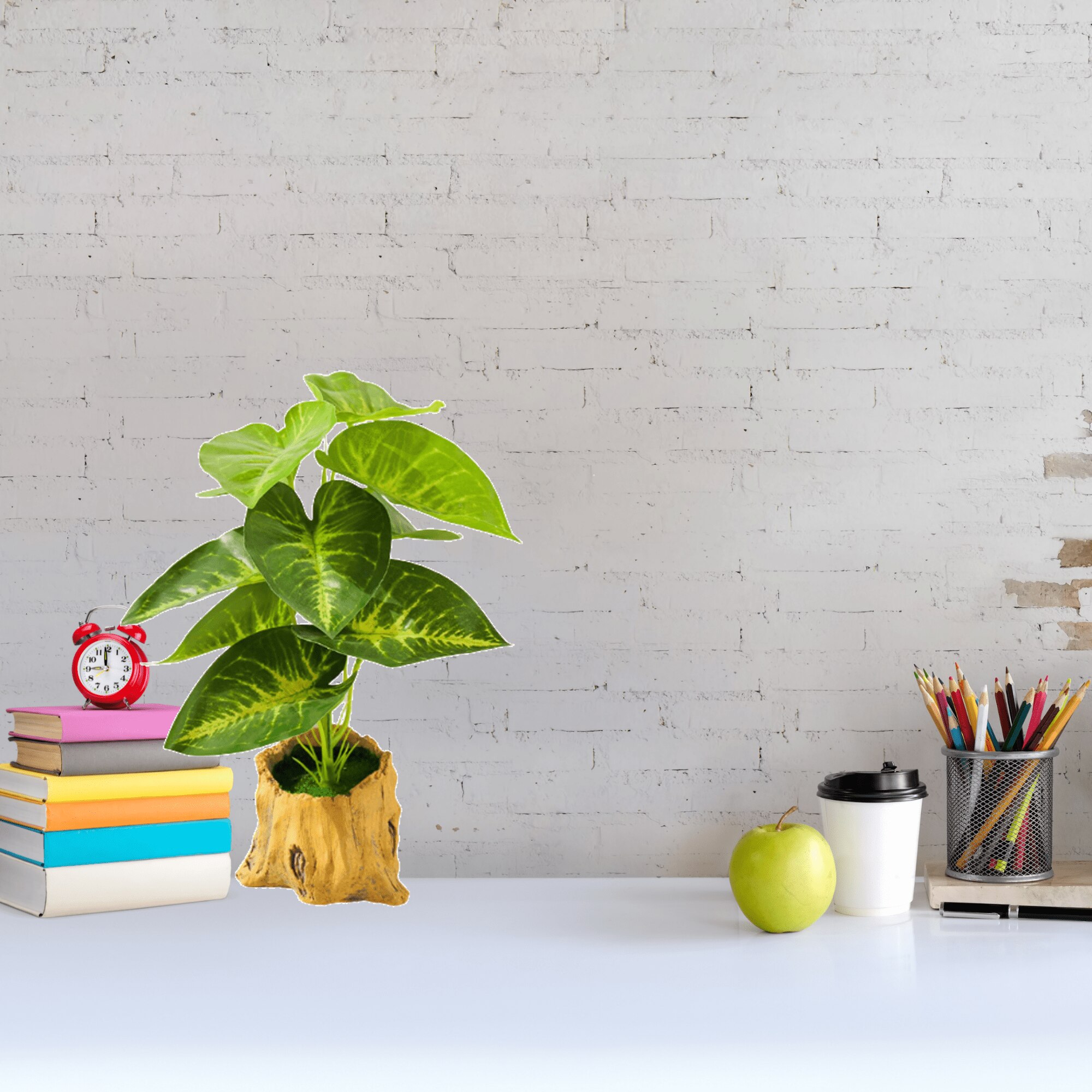 Aranjament Planta Artificiala Taro Verde in Ghiveci Ornamental Trunchi ...