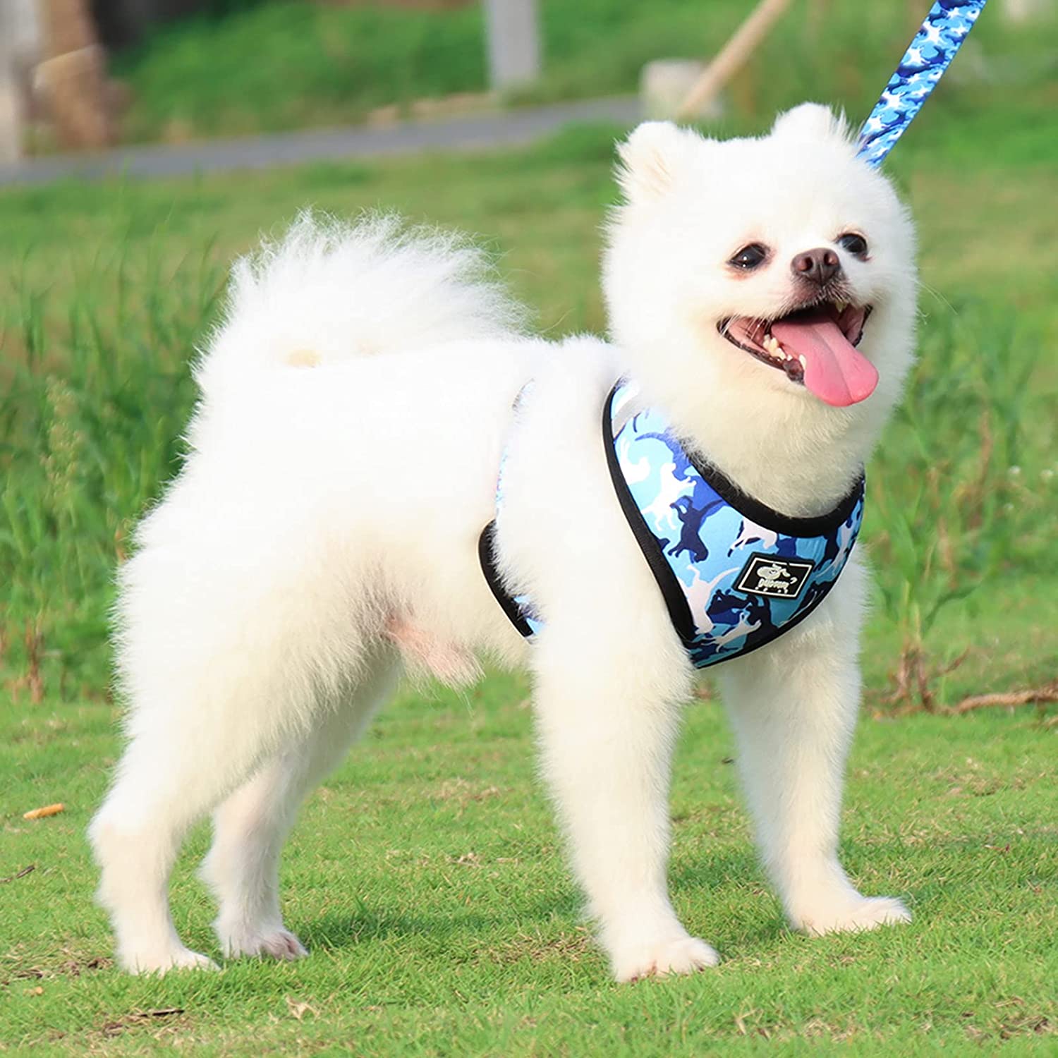 Set 5 piese, Ham, Lesa, Zgarda, Pandantiv, Portofel pungi pentru catei ...