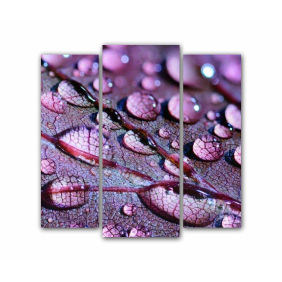 Set 3 Tablouri Multicanvas, frunze cu apa 509, Tipar UV pe panza ...
