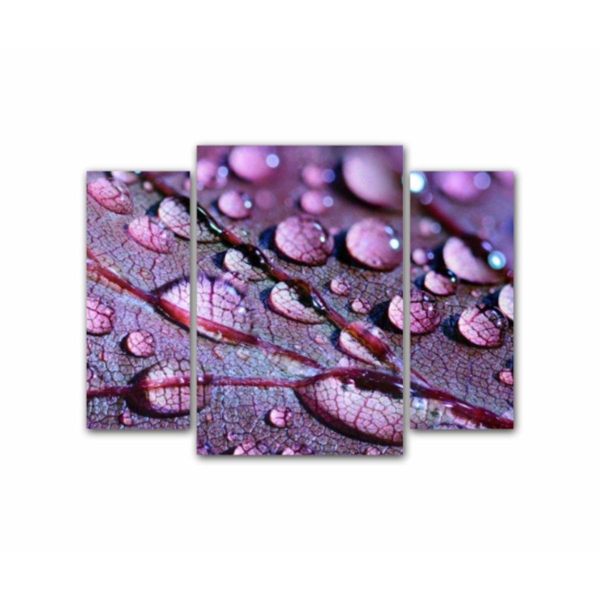 Set 3 Tablouri Multicanvas, frunze cu apa 509, Tipar UV pe panza ...