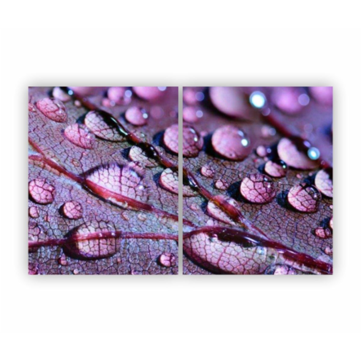 Set 2 Tablouri Multicanvas, frunze cu apa 509, Tipar UV pe panza ...