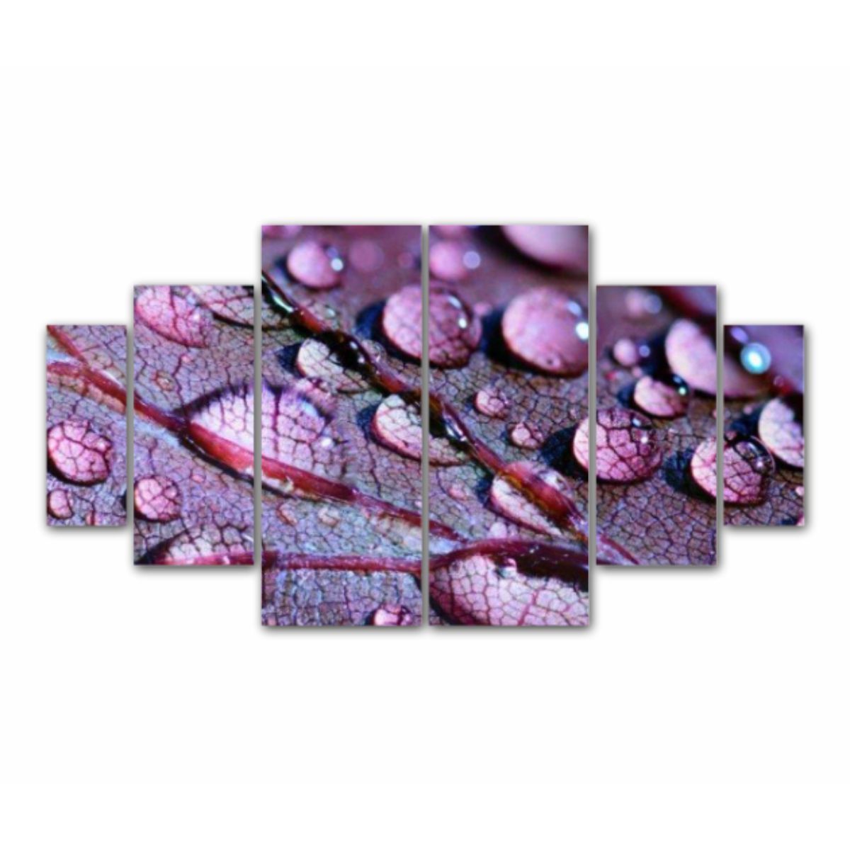 Set 6 Tablouri Multicanvas, frunze cu apa 509, Tipar UV pe panza ...