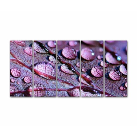 Set 5 Tablouri Multicanvas, frunze cu apa 509, Tipar UV pe panza ...