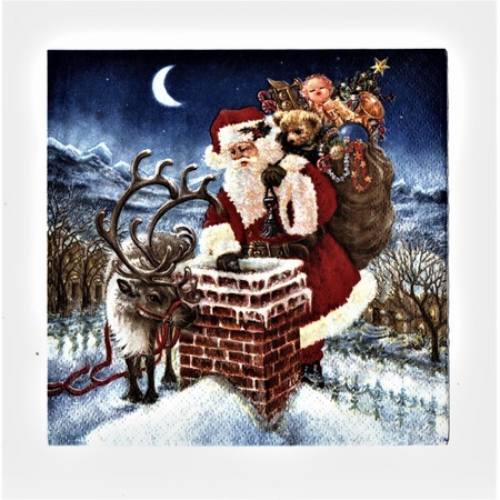 Servetele de Craciun Masa Pachet 20 buc Renul Rudolf si Santa - eMAG.ro