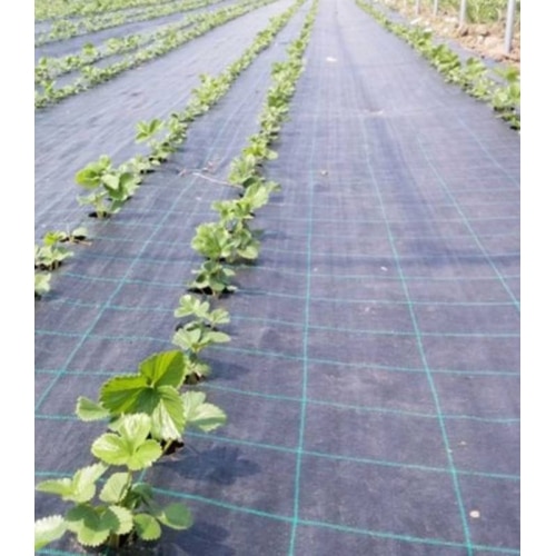 Folie Agrotextil, Ecologica, Antiburuieni, Filtru UV, Latime 0.8 Metri ...