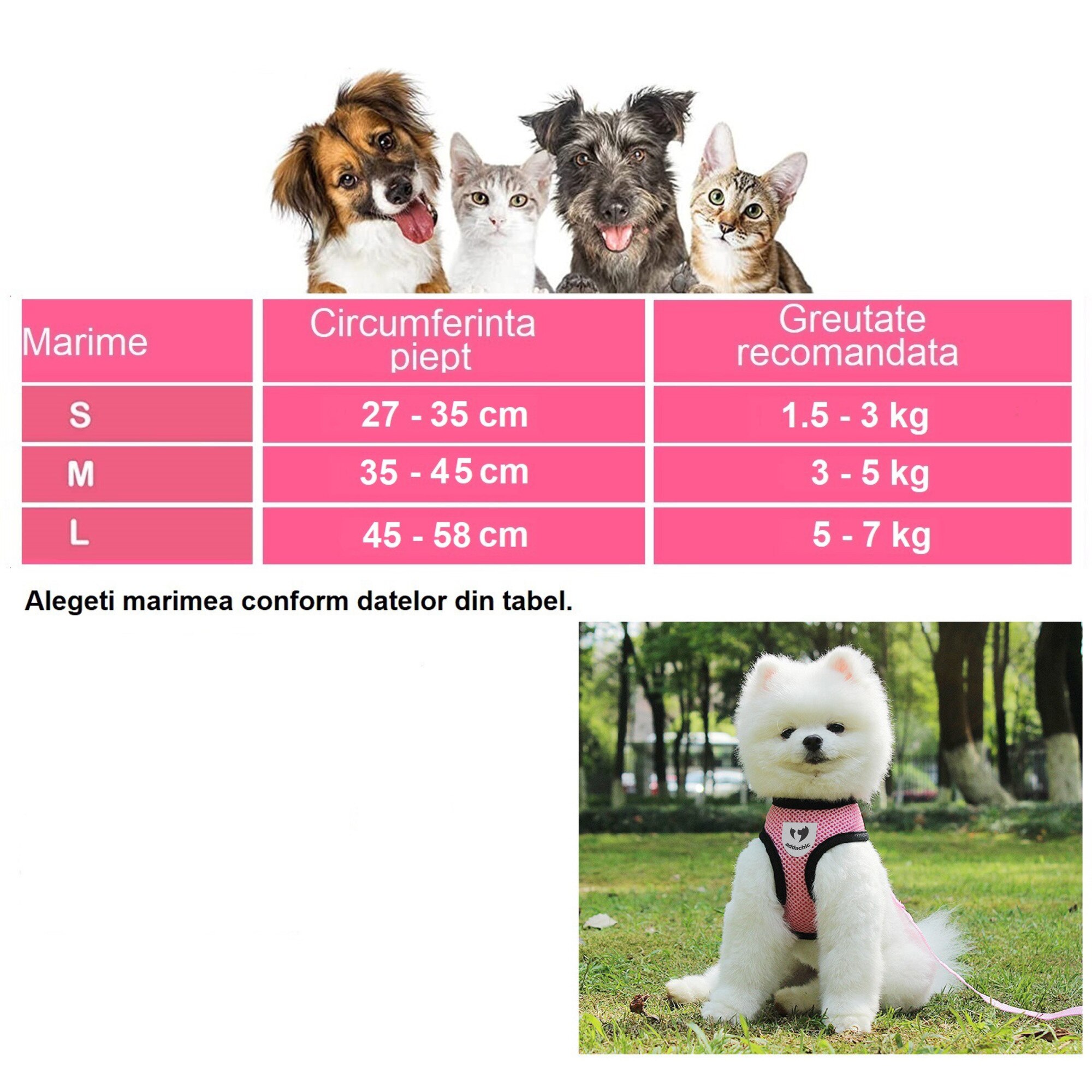 Set Ham si lesa Addachic si Pandantiv, pentru caini/catei/pisici, L ...