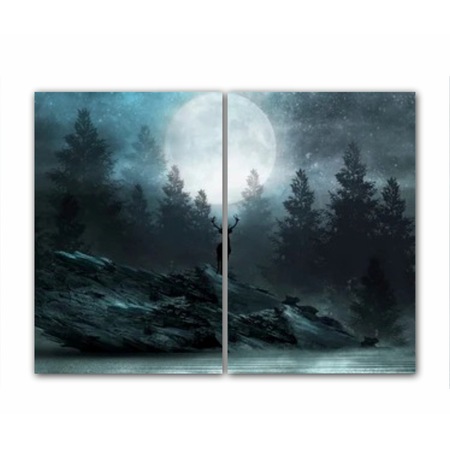 Set 2 Tablouri Multicanvas, Padure de noapte 597, pe panza premium din ...