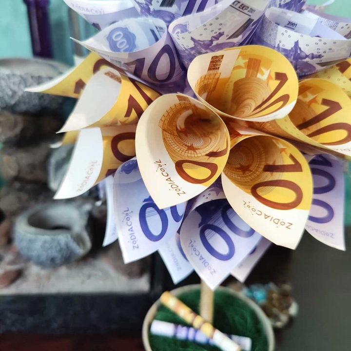 Copacei decorativi Euro, simbol de sporul casei si a familiei, handmade ...