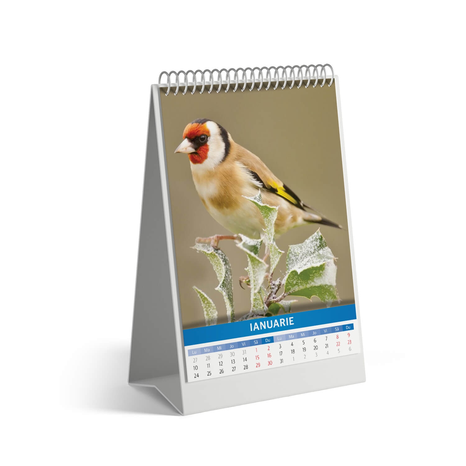 Calendar de birou 2022, Pasari colorate, A5 - 210x149 mm - eMAG.ro