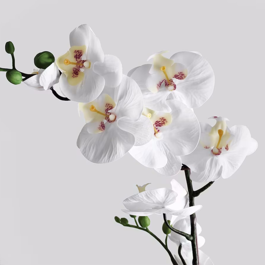 Planta artificiala, interior/exterior, orhidee alba, Ø ghiveci 12 cm ...