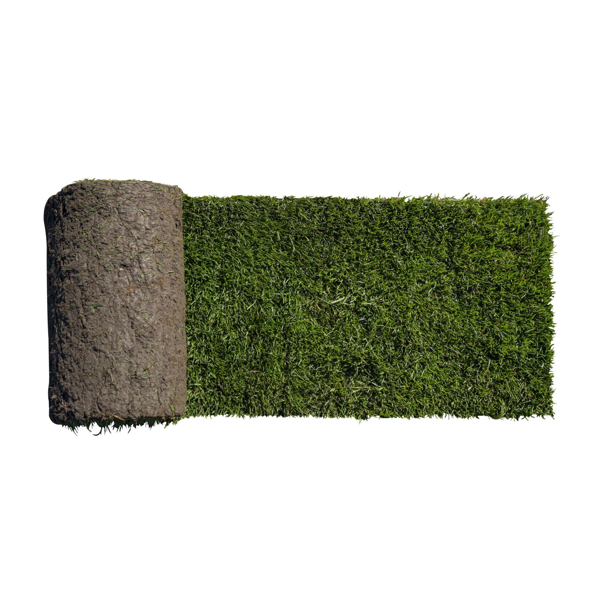 Gazon natural rulat OxyGazon tip Royal Seceta, 1 palet x50 mp - eMAG.ro