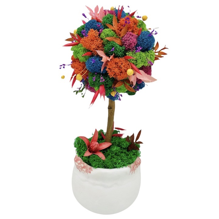 Aranjament floral tip Copacel / Pomisor cu licheni naturali stabilizati ...