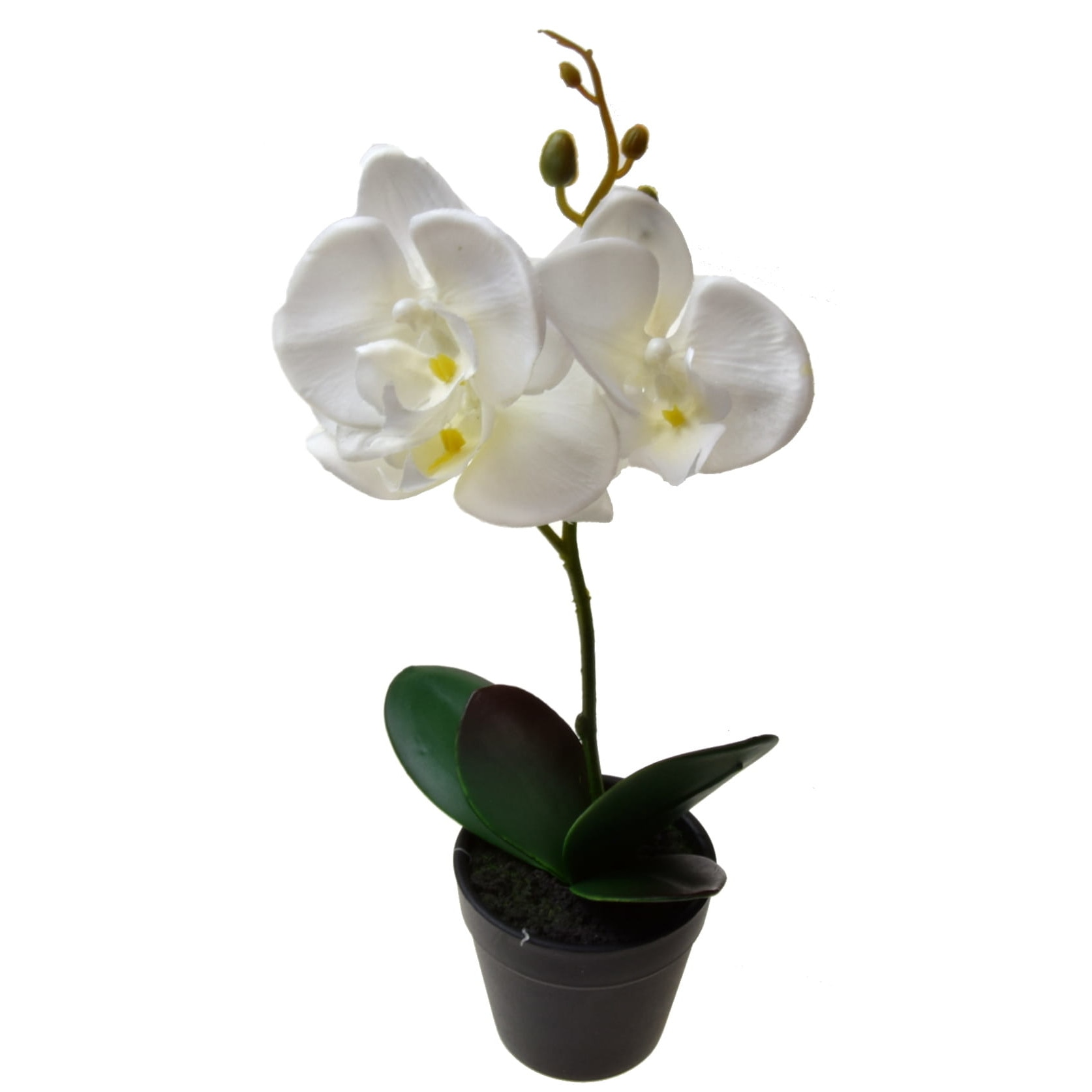 Orhidee artificiala in ghiveci, 32 cm, Alb - eMAG.ro