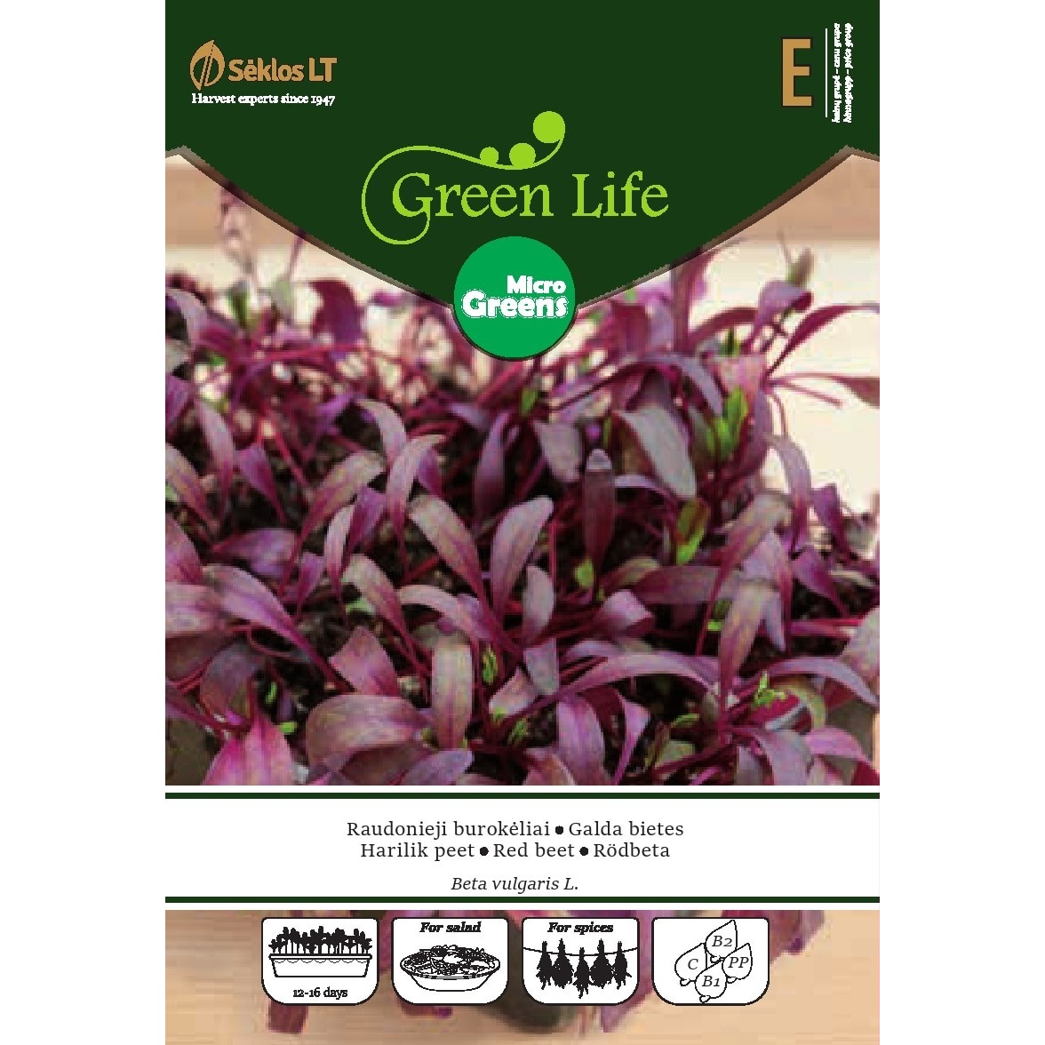 Seminte, Microplante pentru consum Micro Greens Sfecla Rosie, Green ...