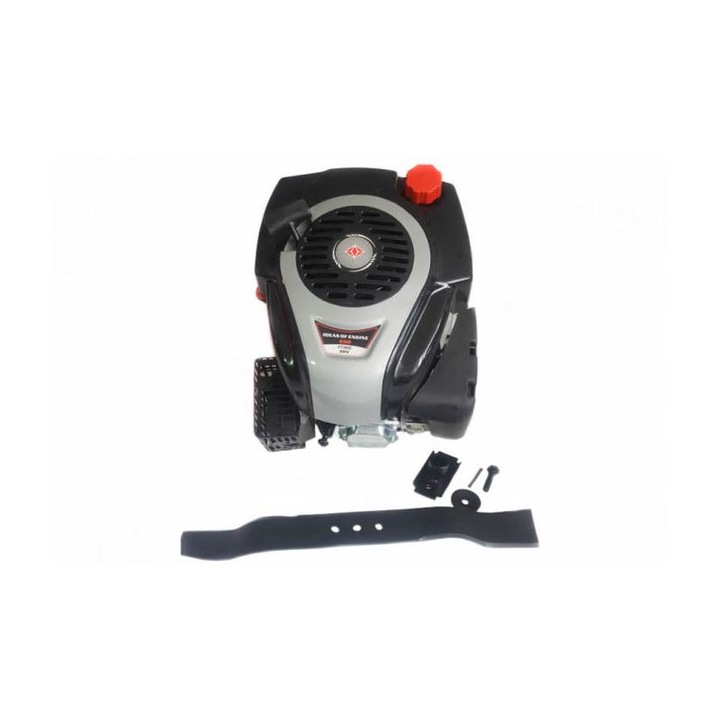 Motor cu ax vertical 6HP 173cc - eMAG.ro
