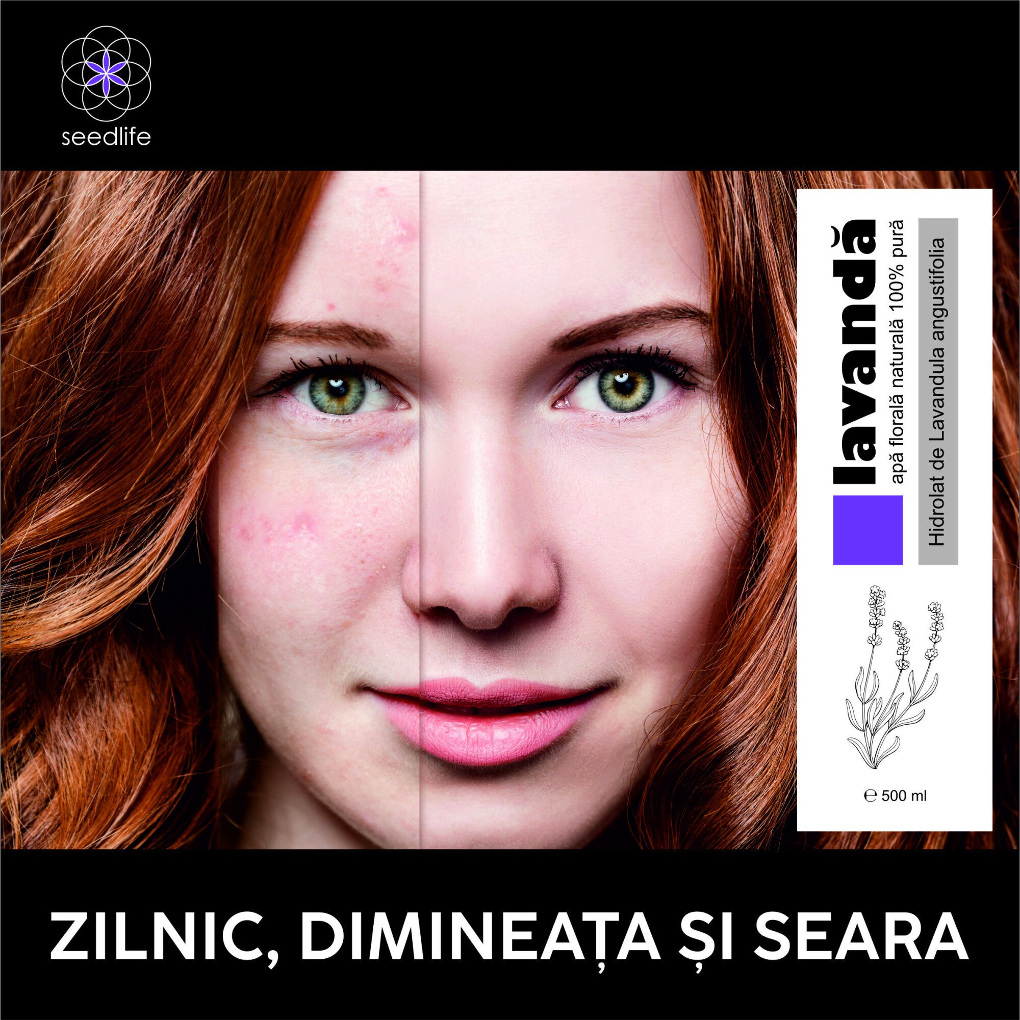 Apa florala pura, Hidrolat de lavanda, 100 ml, sticla violet cu filtru ...
