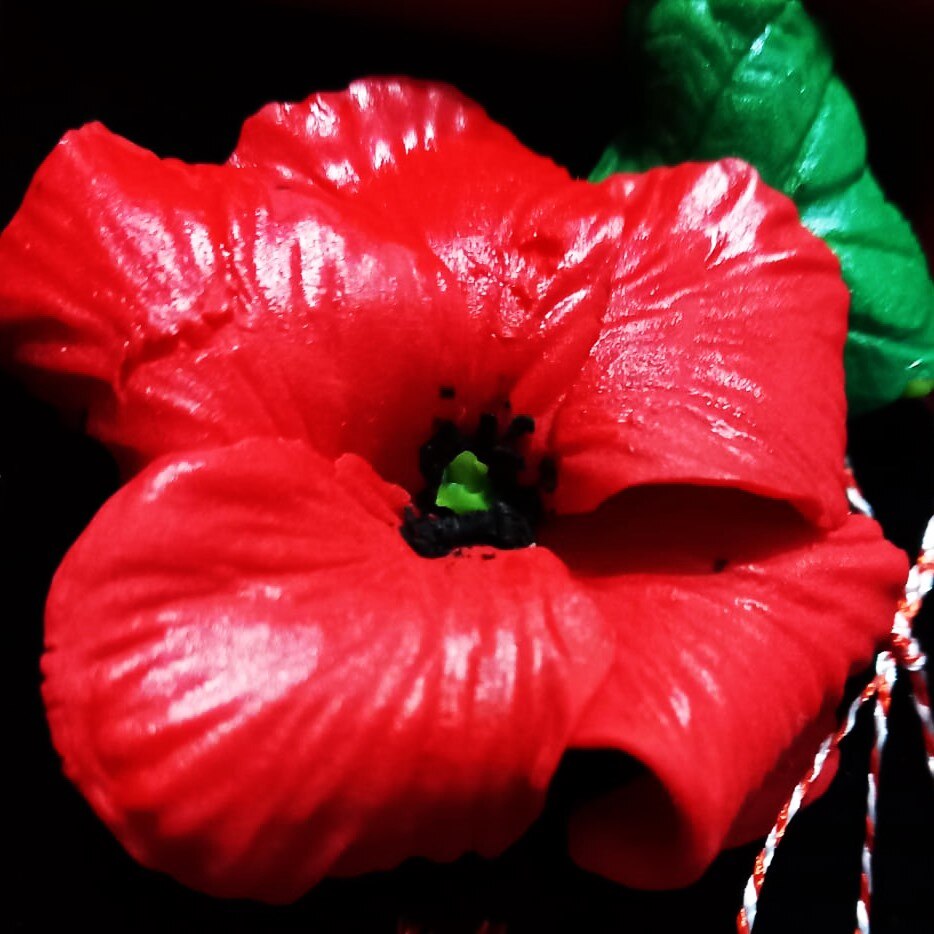 Martisor MCF handmade mac rosu lut polimeric - eMAG.ro