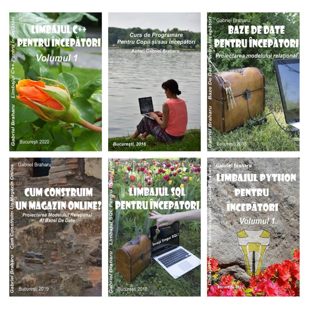 Set de 6 Carti Programare Incepatori (46), Gabriel Braharu, Colectia "Invata programare singur ...