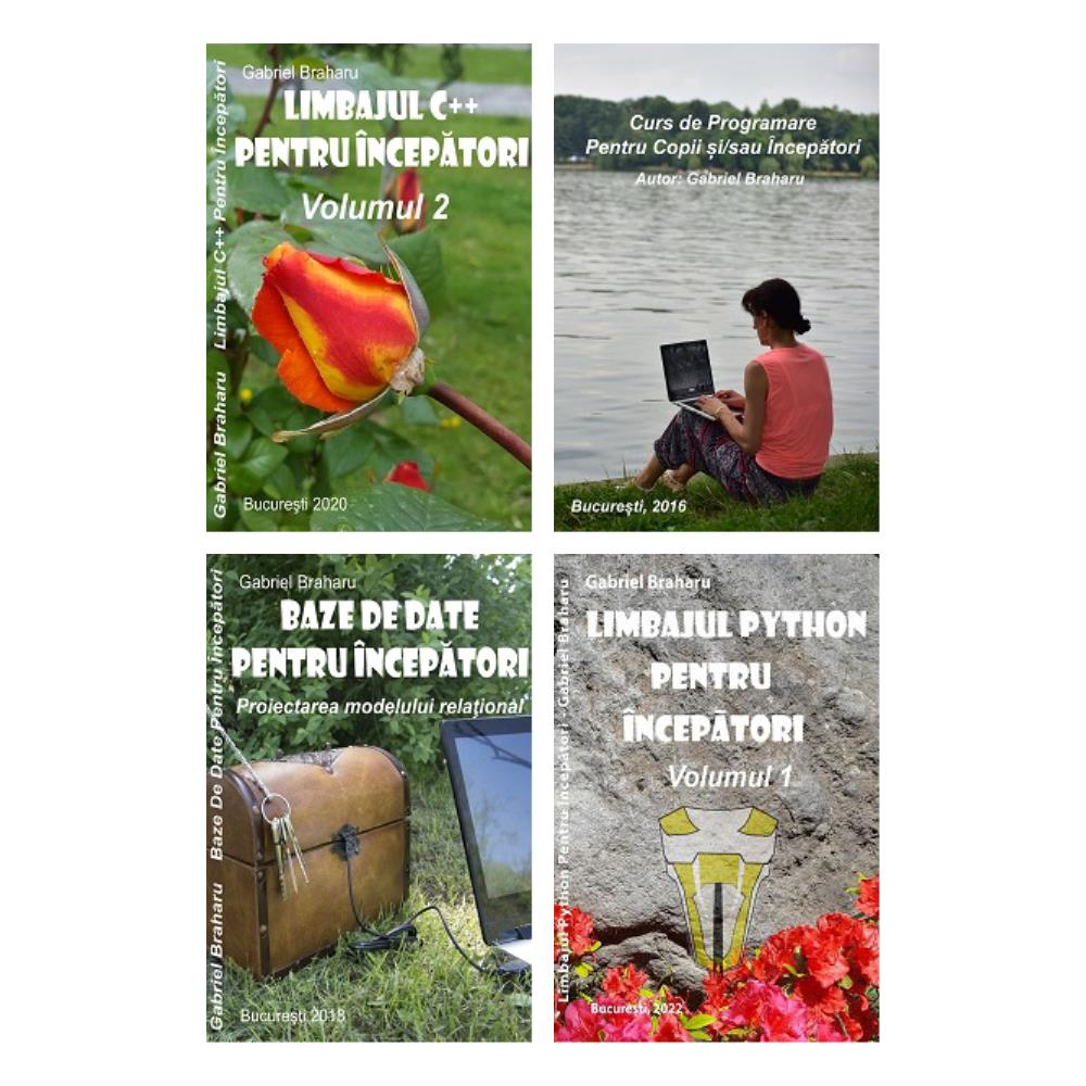 Set de 4 Carti Programare Incepatori (35), Gabriel Braharu, Colectia ...
