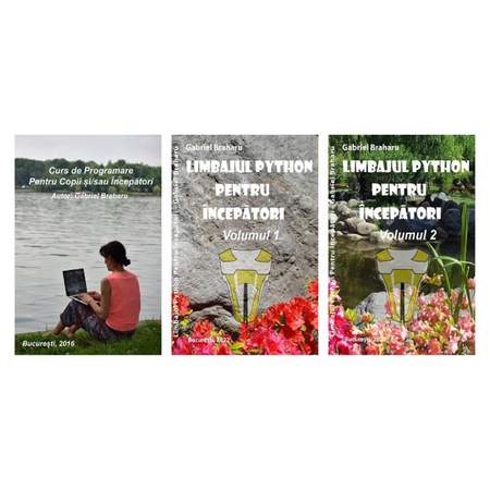 Set de 3 Carti Programare Incepatori (28), Gabriel Braharu, Colectia ...