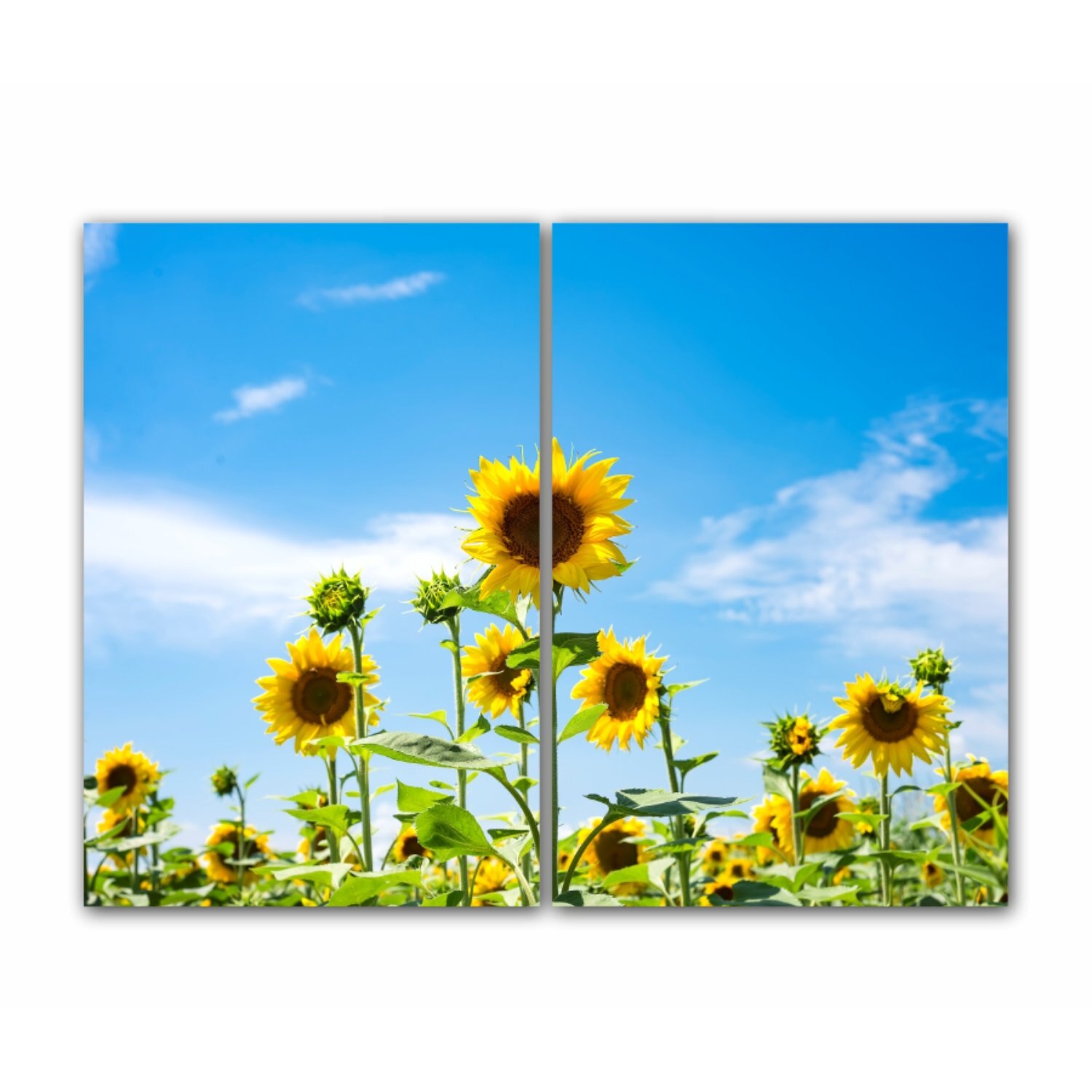 Set 2 Tablouri Multicanvas, Floarea soarelui 4 81, Tipar UV direct pe ...