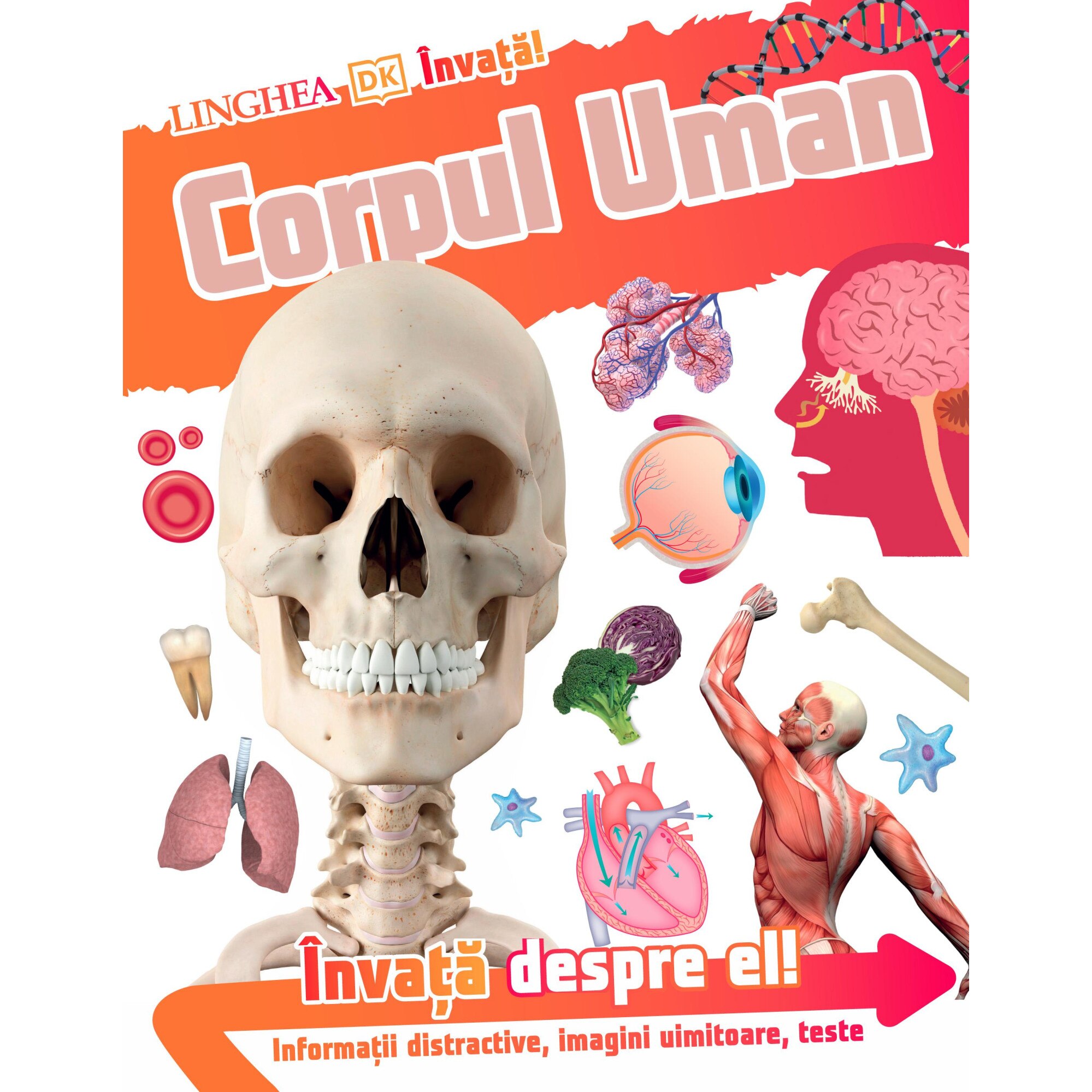 Invata! Corpul Uman - eMAG.ro