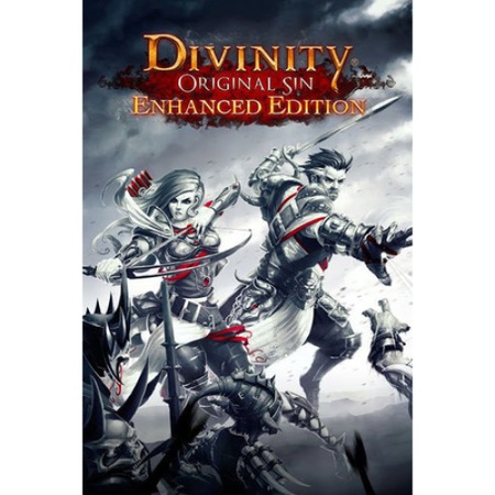 Joc PC Divinity: Original Sin Enhanced Edition, cod de activare GOG.com ...
