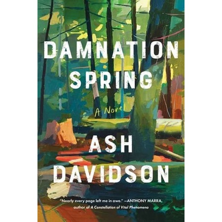 Damnation Spring de Ash Davidson - eMAG.ro
